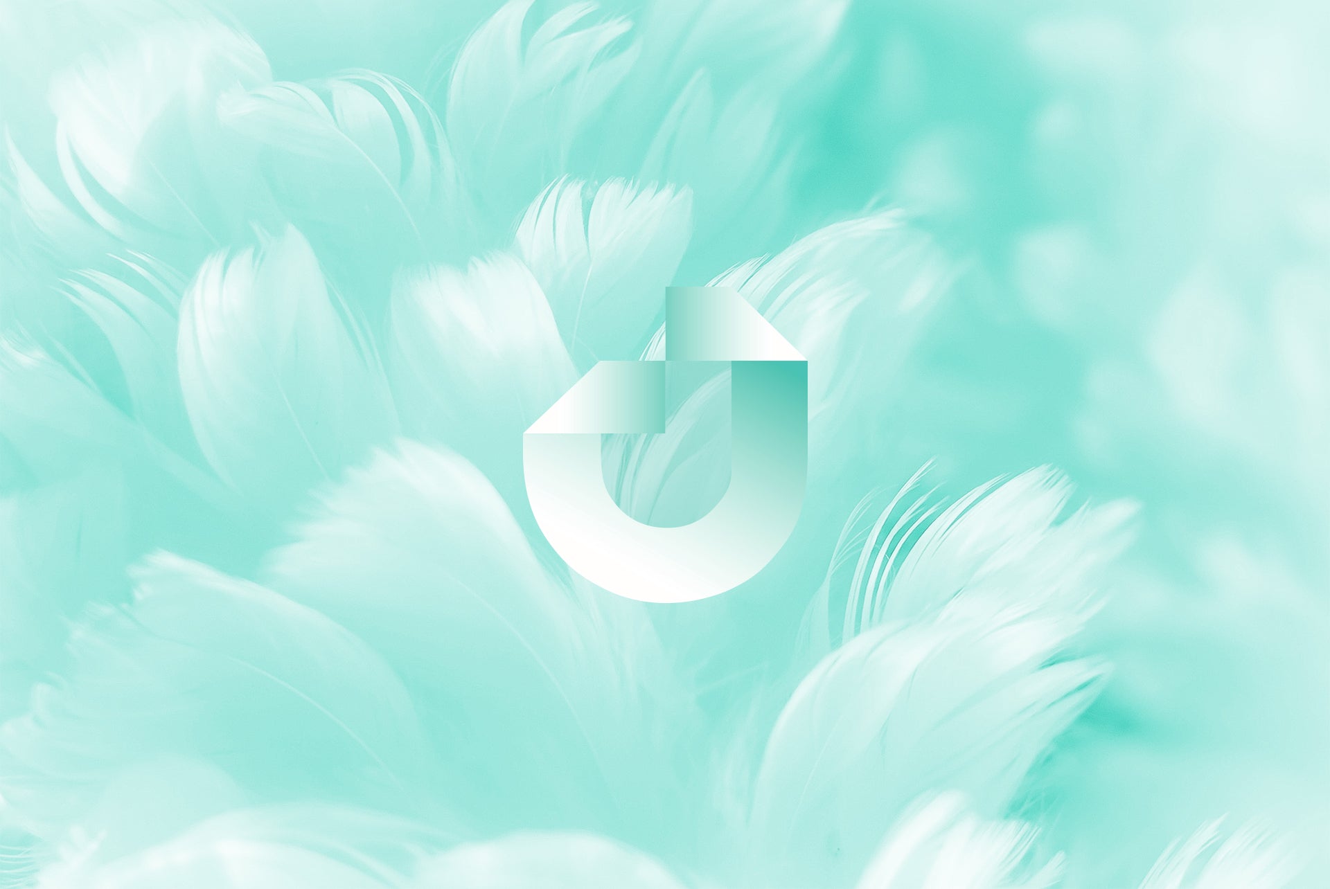 Celine Professional – Jubilee Tissue Industries